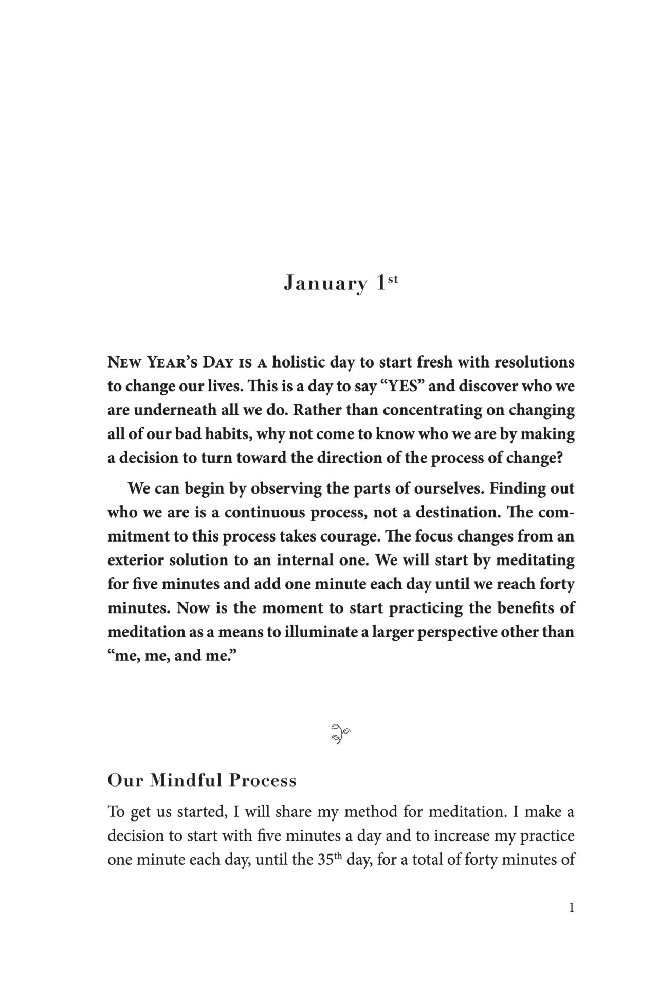 Beginning | Our Mindful Process