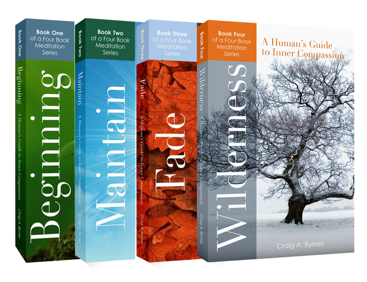 Home | Our Mindful Process